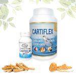 Herbal Natural – Belleza natural